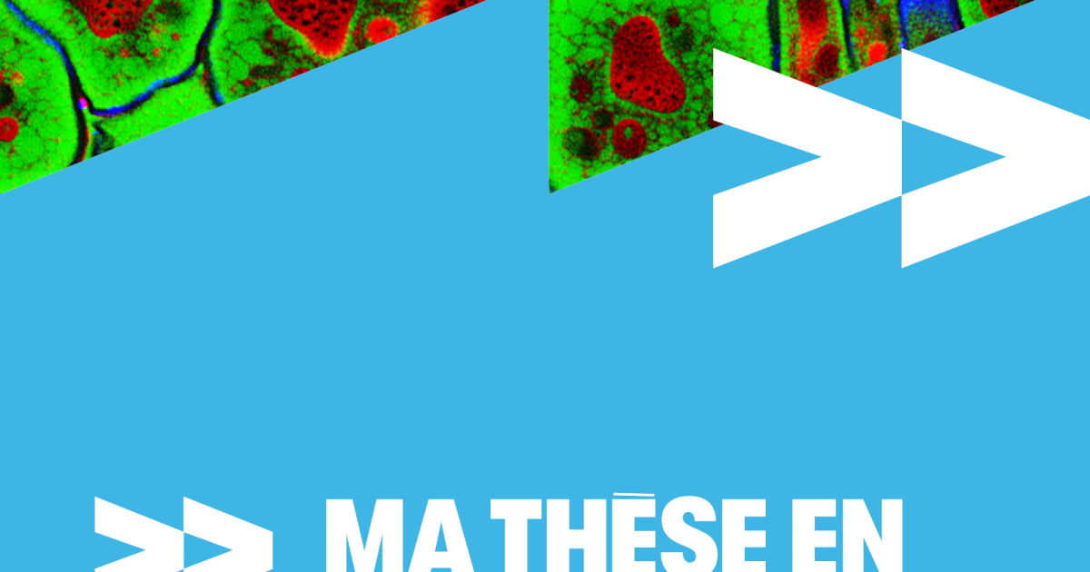 L'Acfas dévoile les lauréat·es de la finale nationale 2025 du concours ...